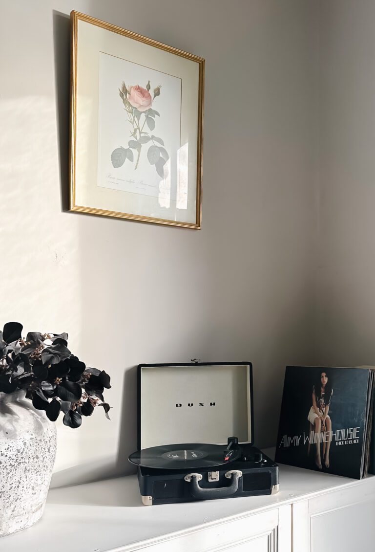 How to Organize Your Record Collection | Simple Neat Home